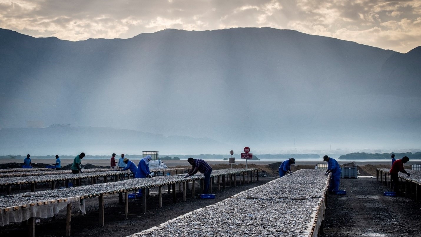 Our Philosophy – RAK Fish & Food Drying